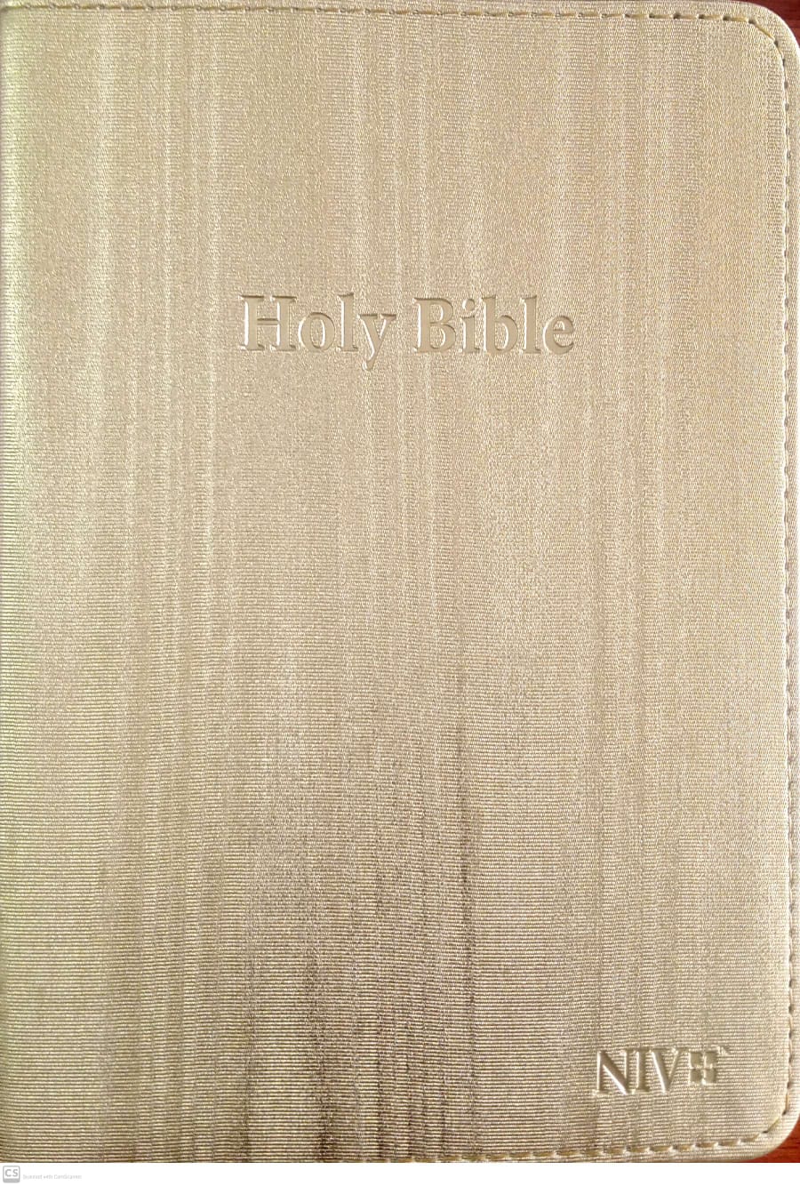 NIV TA MINI PU THUMB INDEX Golden (Pocket size)